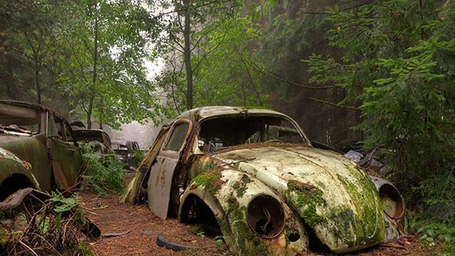 Kisah Kuburan Mobil Tua yang Bikin Bergidik - Otomotif Liputan6.com