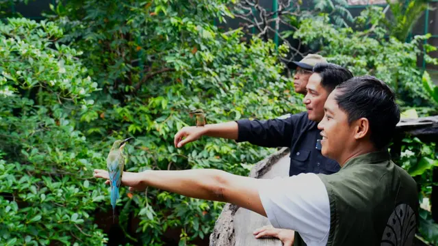 Kunjungi Aviary Milik Irfan Hakim, Menhut: Tak Perlu Jadi Pejabat untuk ...