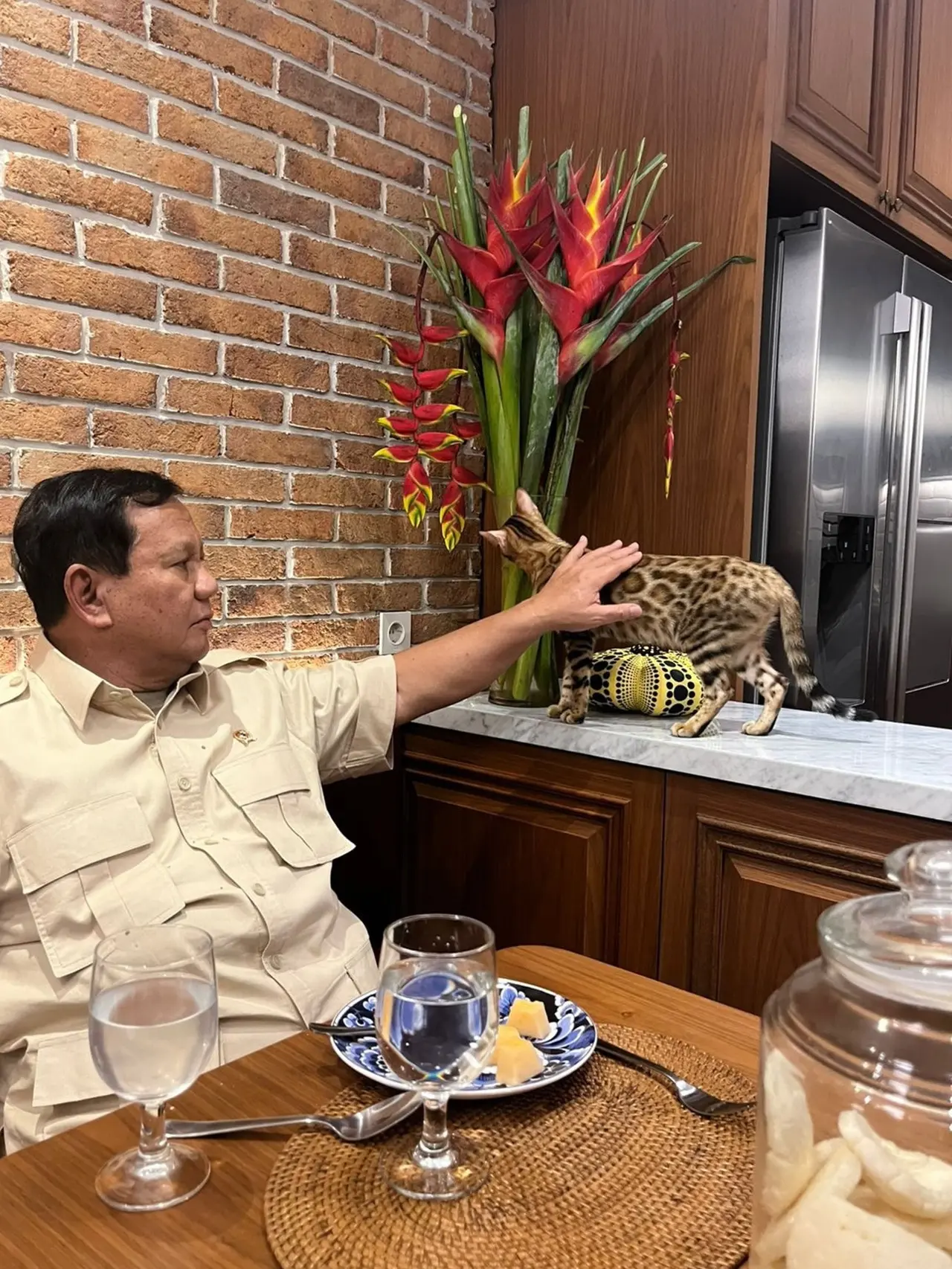 Foto Prabowo Gendong Kucing Bobby Kertanegara di Istana Disukai 2,3 ...