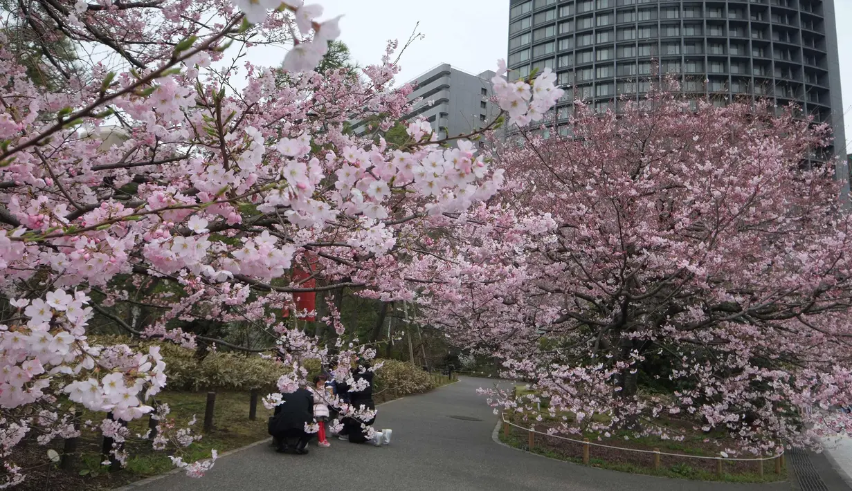 FOTO: Menikmati Keindahan Bunga Sakura yang Bermekaran di Tokyo - Foto Liputan6.com