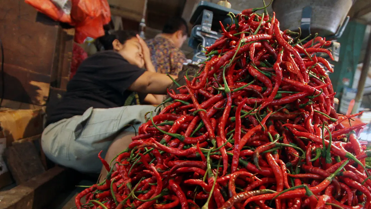 Harga Cabai Kini Sudah Setara Daging Sapi - Bisnis Liputan6.com