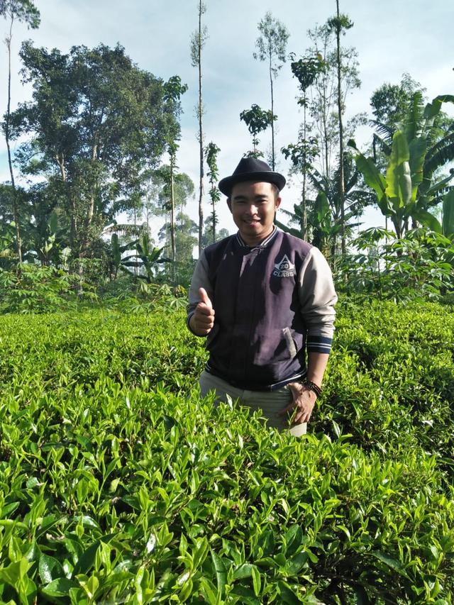 Teh Hijau Garut dan Candu Budaya 'Nyaneut'