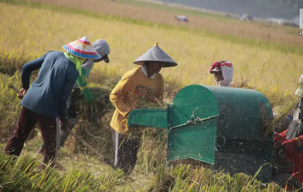 STR Adalah Surat Tanda Registrasi, Pahami Dasar Hukum, Manfaat Dan Cara ...