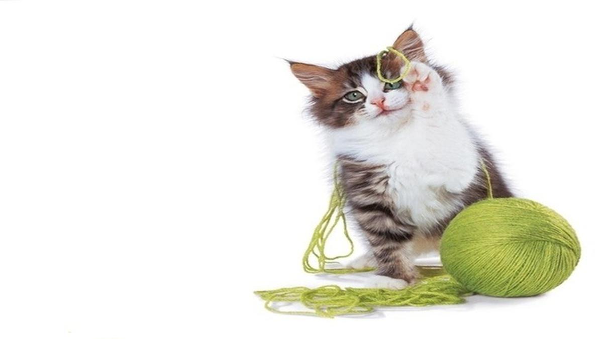 Perkenalkan, Komunitas Unik Pengurai Benang Kusut - Citizen6 Liputan6.com