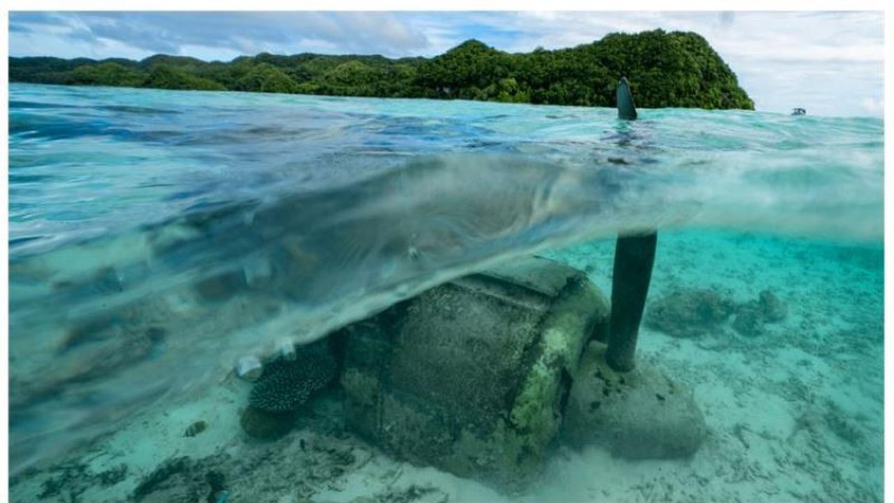 6 Fakta Menarik Negara Palau di Samudera Pasifik, Tetangga Indonesia ...