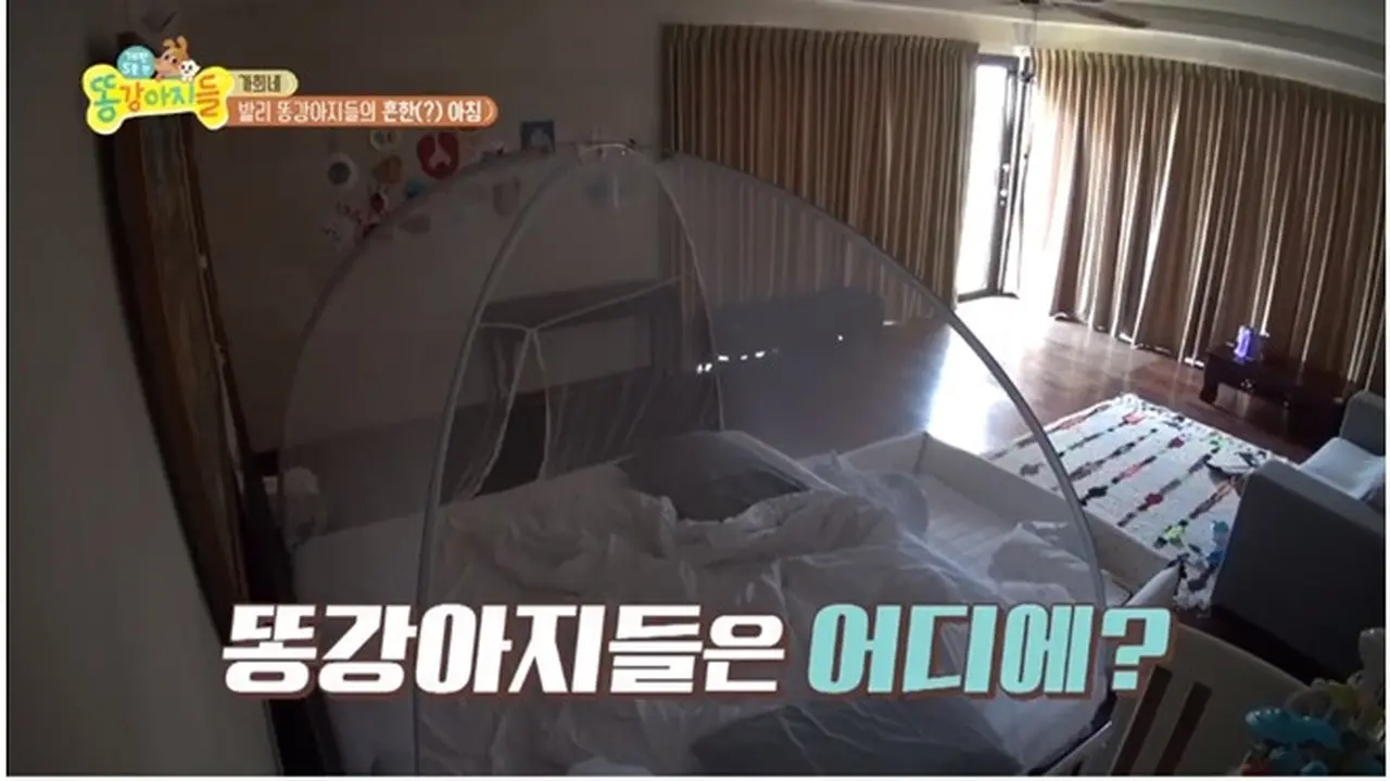 7 Potret Rumah Kontrakan Mewah Kahi Eks Idol K-Pop di Bali, Minimalis ...