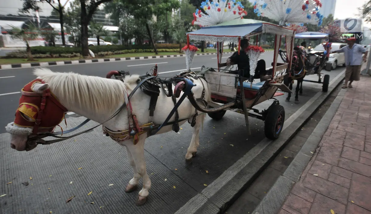 FOTO: Pemprov DKI Jakarta Larang Delman Beroperasi Selama Asian Games ...