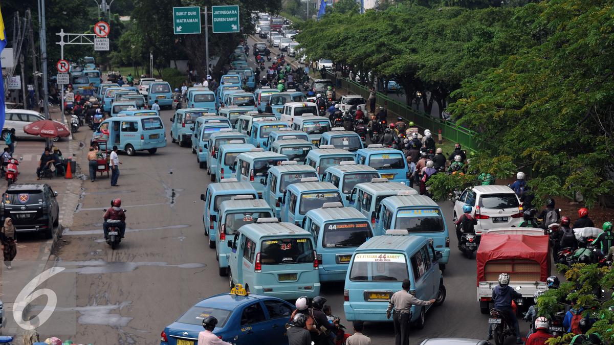 Sopir Mikrolet Mogok Massal hingga 3 Anjing Bermain Skateboard - News ...