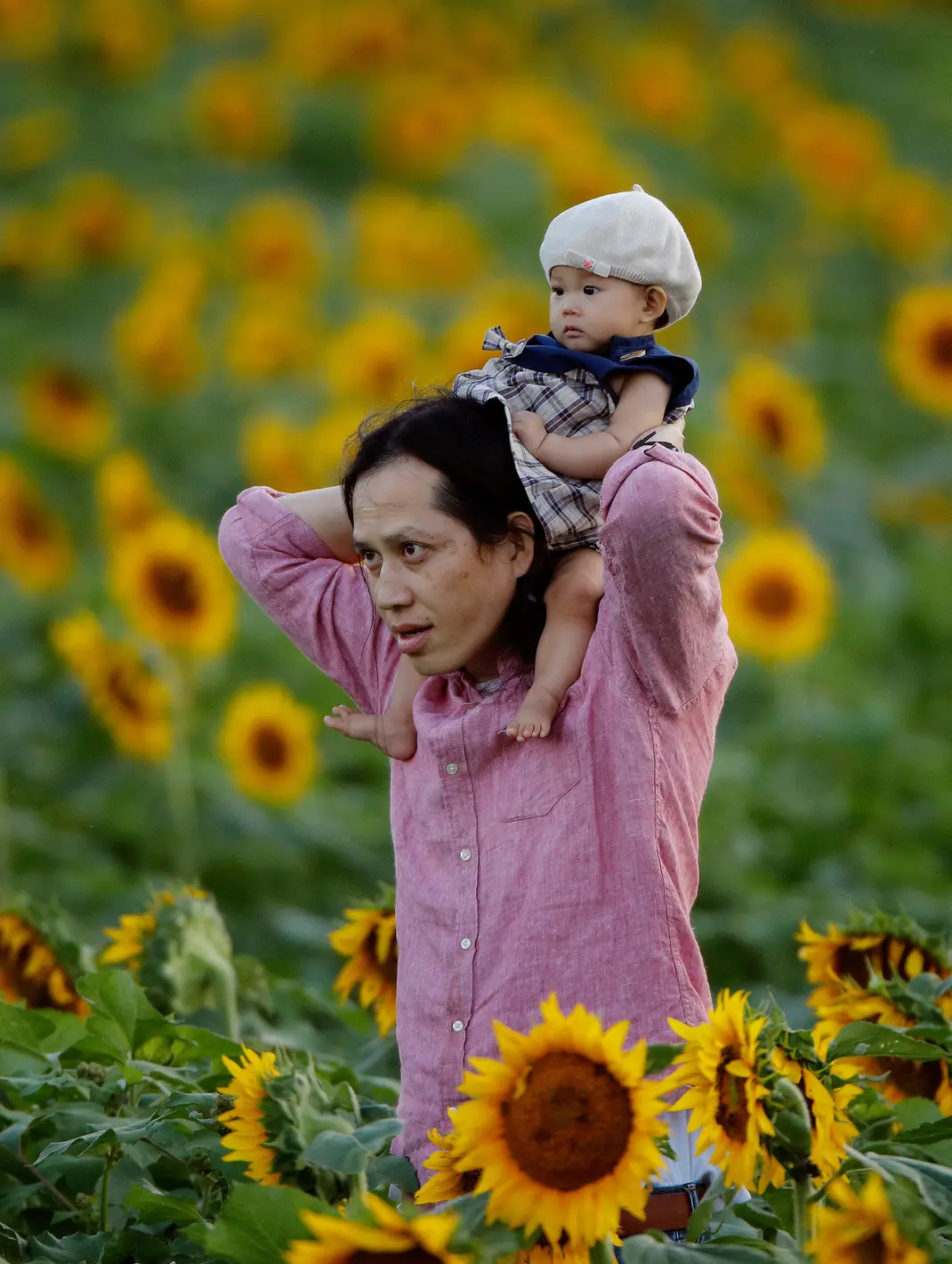 FOTO: Menikmati Keindahan Hamparan Ladang Bunga Matahari yang Memesona ...