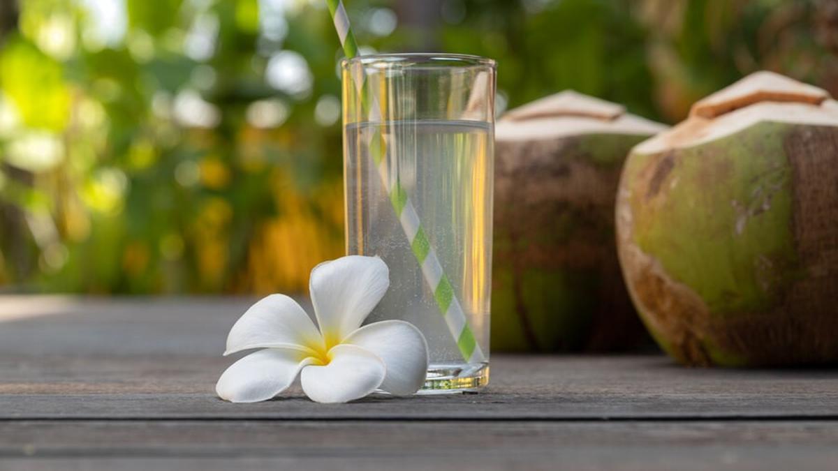 Ketahui 7 Manfaat Luar Biasa Minum Air Kelapa di Pagi Hari untuk Kesehatan - Health Fimela.com