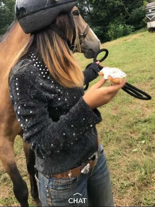 6 Ilusi Optik Kuda Ini Bikin Mikir Keras, Auto Kucek Mata - Hot ...