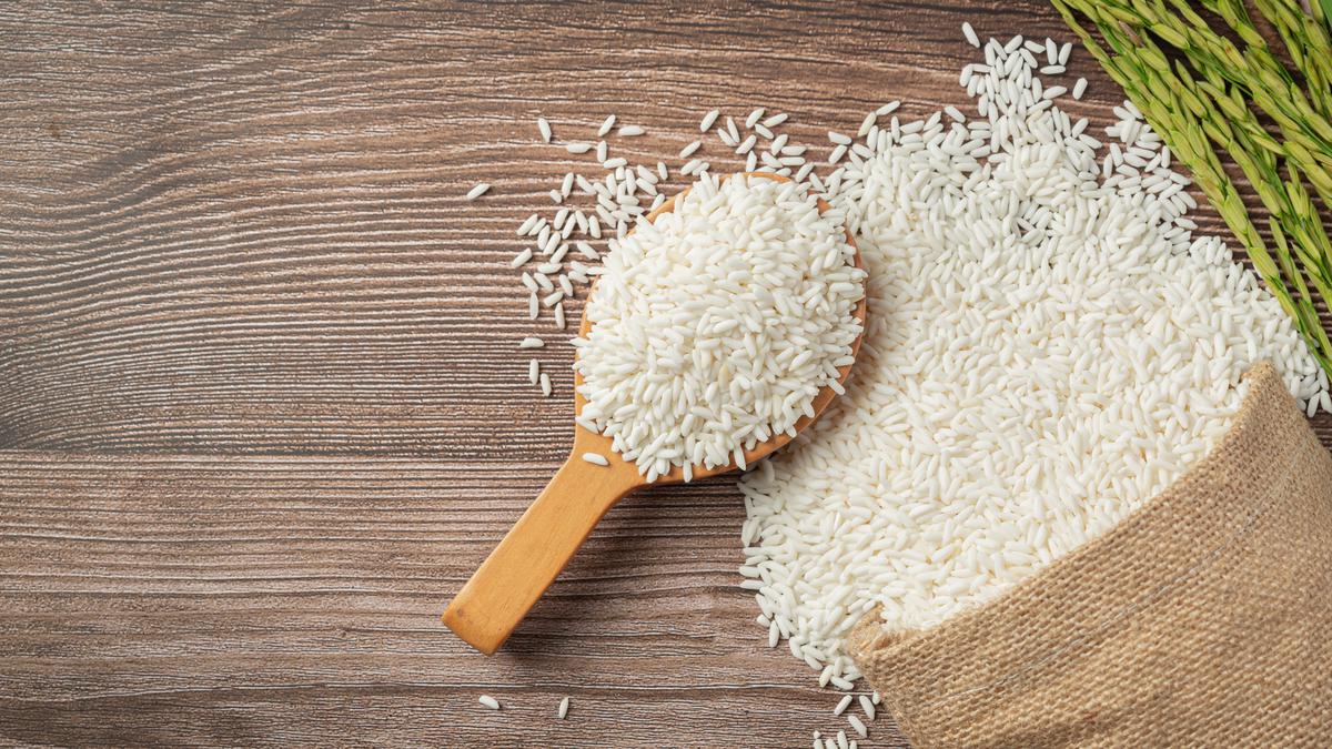 Cara Jitu Mengolah Beras Pera Menjadi Nasi Lembut yang Bikin Ketagihan ...