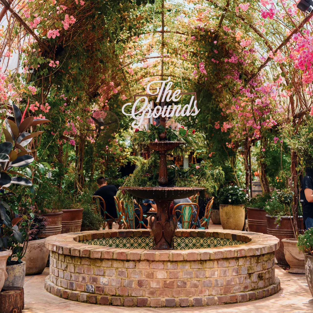 6 Alasan Mengapa Sydney Cocok Sebagai Destinasi Wisata Bersama Keluarga ...