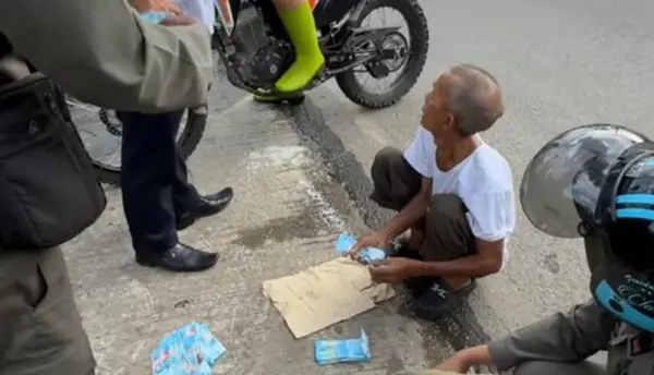 Masih Ingat Film Kartun Hachi? Ini Akhir Kisah Mencari Ibu Lebah yang ...