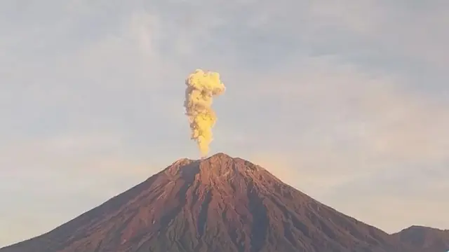 Gunung Semeru Erupsi, Tinggi Letusan Capai 1 Kilometer - Regional Liputan6.com