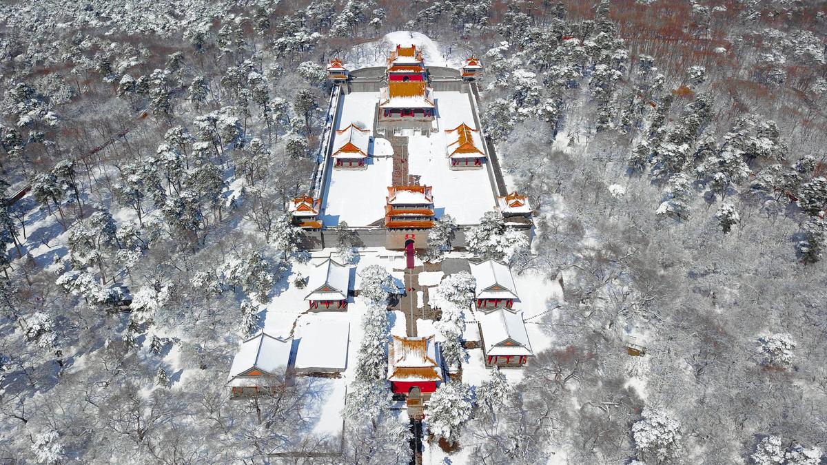 FOTO: Berselimut Salju, Taman di China Terlihat Indah dengan Putih ...