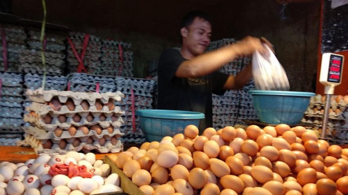 Mentan: Berita soal Telur Palsu Hoaks - Bisnis Liputan6.com