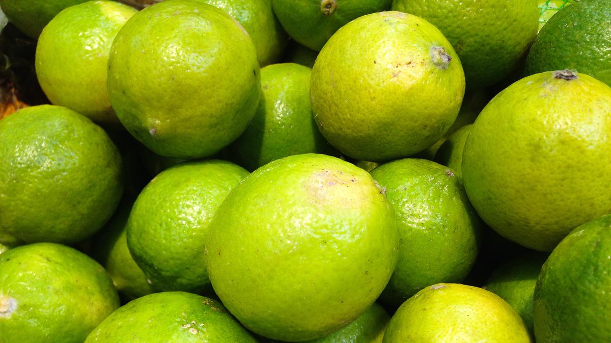Manfaat Jeruk Limau untuk Kesehatan Tubuh