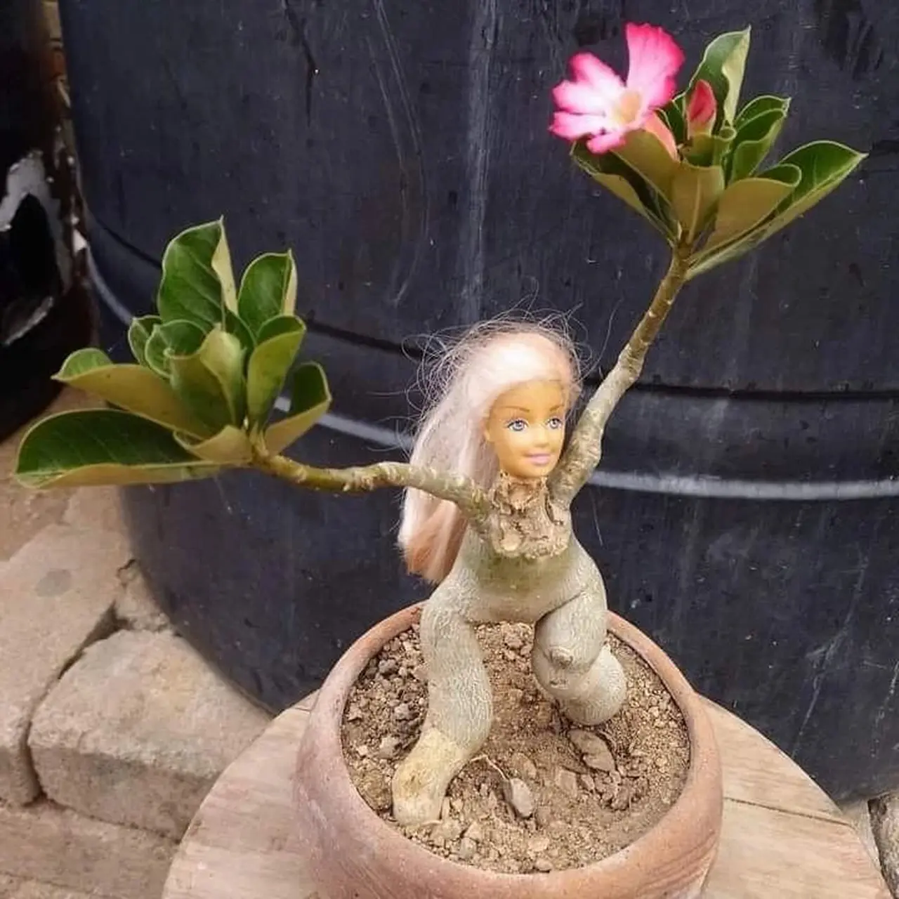 Arti Kata Absurd yang Jarang Diketahui, Lengkap dengan Contoh ...