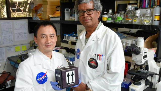 NASA dan Google Uji 'Dokter AI' untuk Obati Astronaut di Luar Angkasa ...