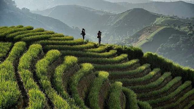Terasering Adalah Metode Konservasi Tanah dan Air, Berikut Jenis-Jenis ...