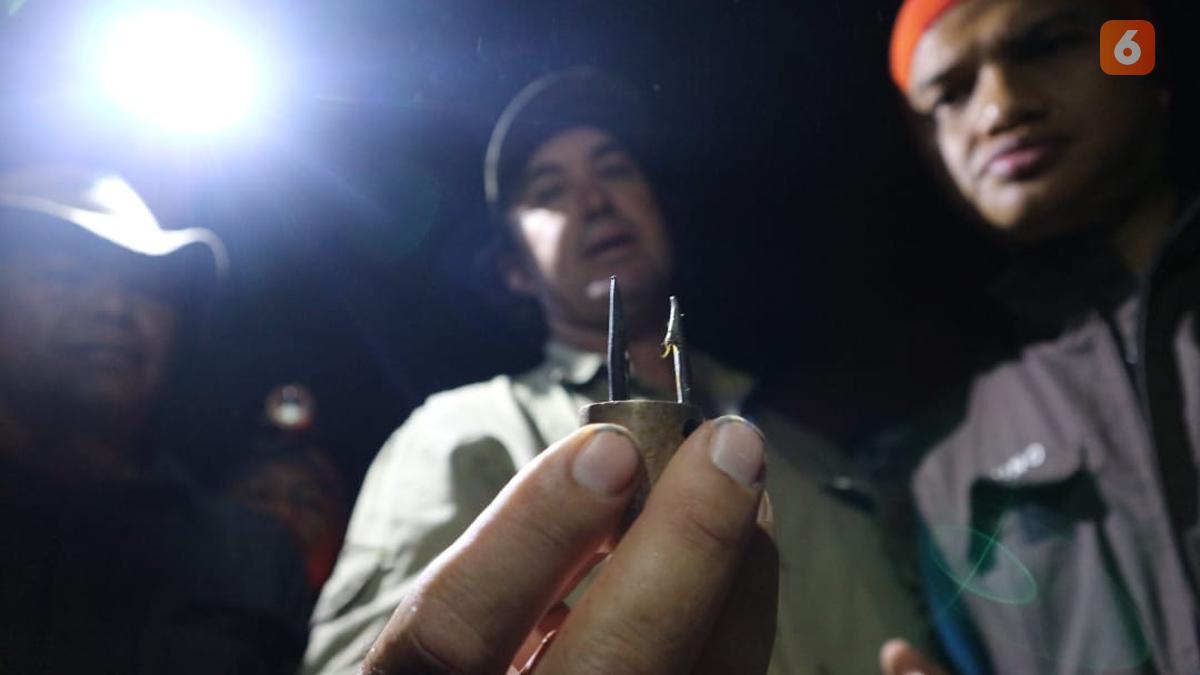 Kejar-kejaran Matt Wright dan Buaya Berkalung Ban Hingga ke Teluk Palu ...