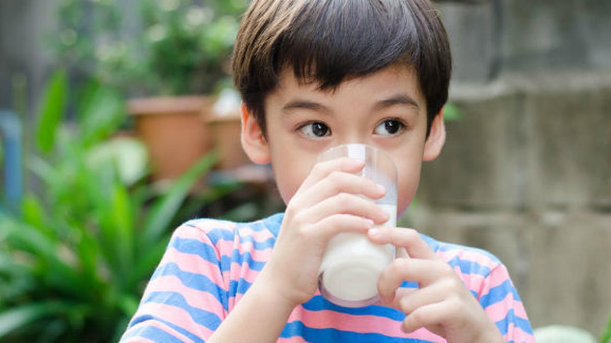 Sekeluarga Minum Susu Ini Manfaat Dan Tips Rutin Melakukannya Beauty