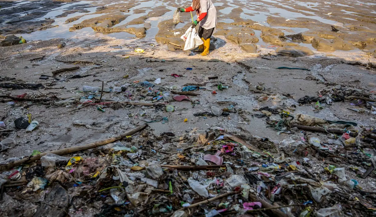 Peringati Hari Mangrove Sedunia, Sejumlah Relawan Bersih-bersih Rawa ...