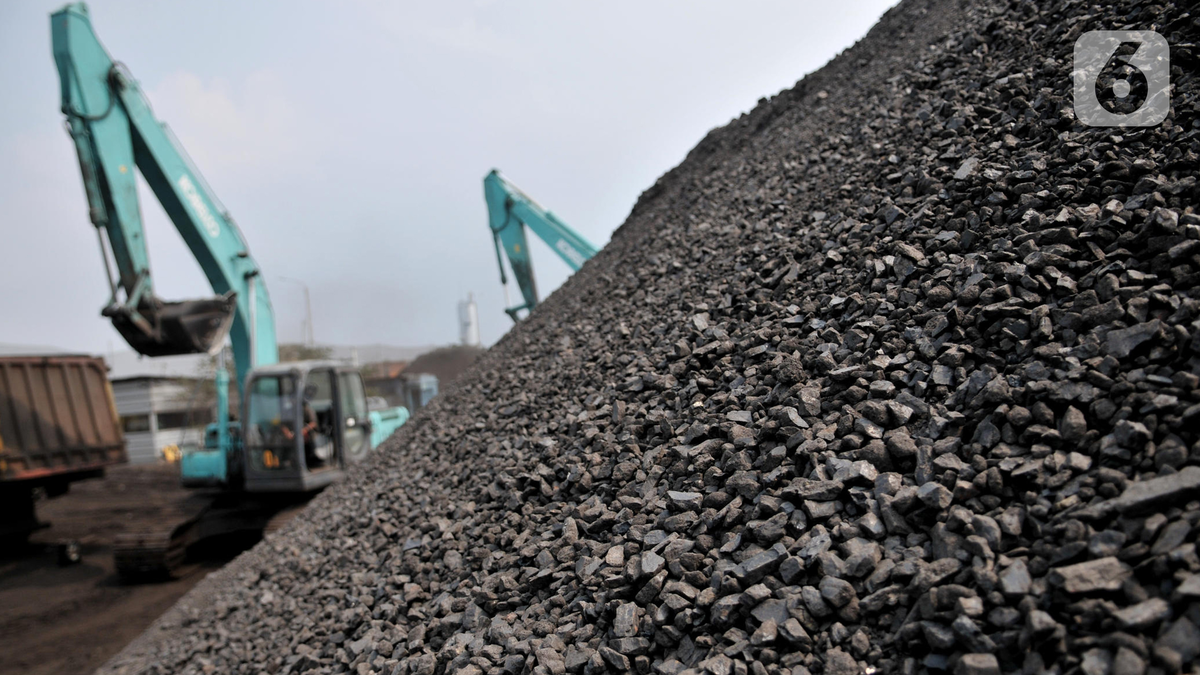 Pemerintah Segera Jawab Keberatan Negara Lain Soal Larangan Ekspor Batu Bara - Bisnis Liputan6.com