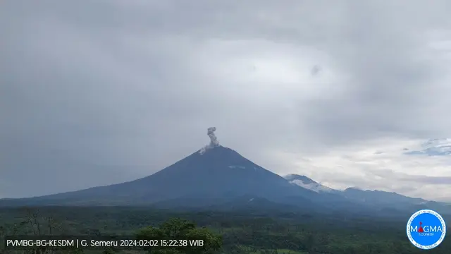 Gunung Semeru Erupsi Lagi, Semburkan Abu Vulkanik Setinggi 1.300 Meter - Regional Liputan6.com