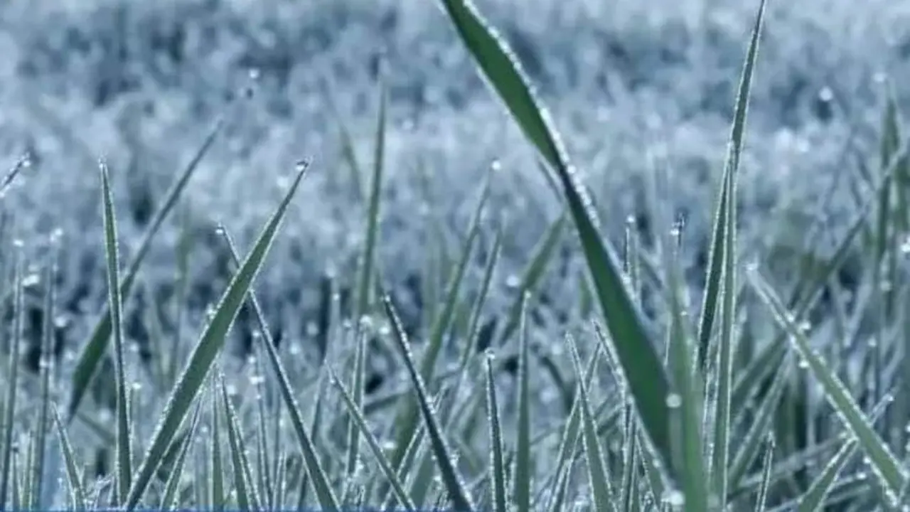 Mengkristal adalah Perubahan Wujud dari Gas Menjadi Padat, Ini Proses ...