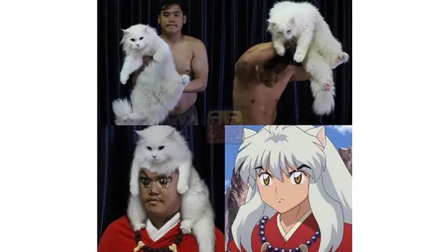 6 Cosplay Low Budget Libatkan Kucing Ini Kocak, Bikin Ketawa - Hot ...