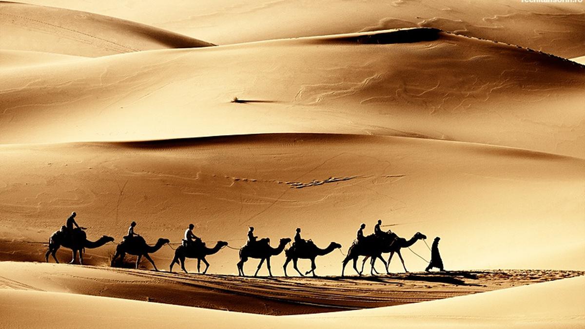 Keajaiban Gurun Sahara Dalam Gambar GIF