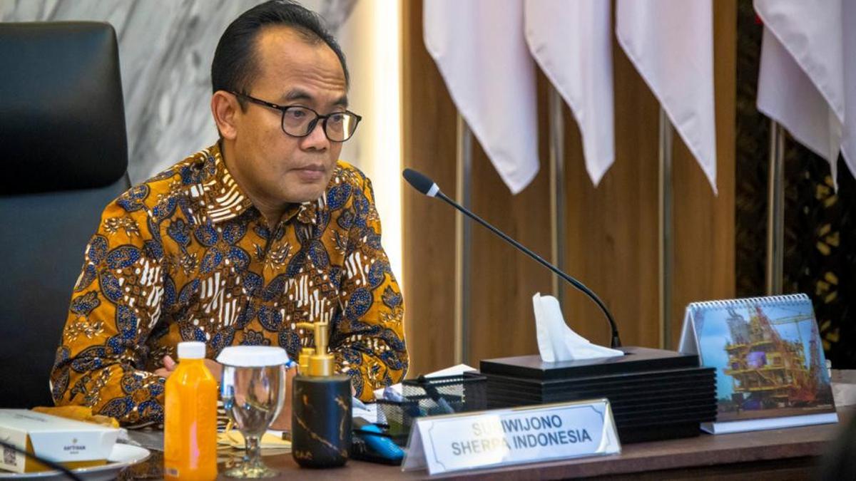 Di Sidang PBB, Indonesia Bakal Bantu Atasi Krisis Pangan, Energi dan ...