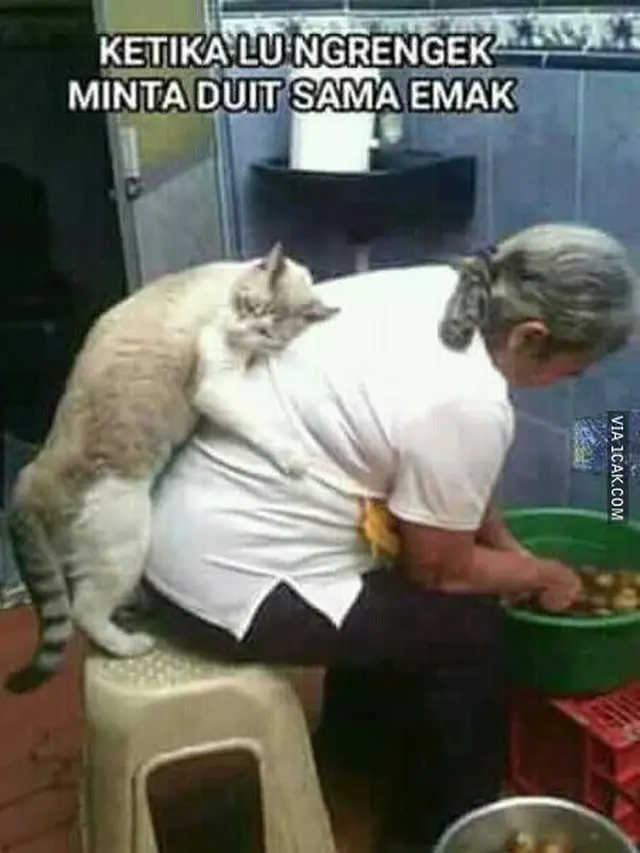 7 Meme Kocak Anak Minta Uang ke Orang Tua Ini Nyata Banget - Hot ...