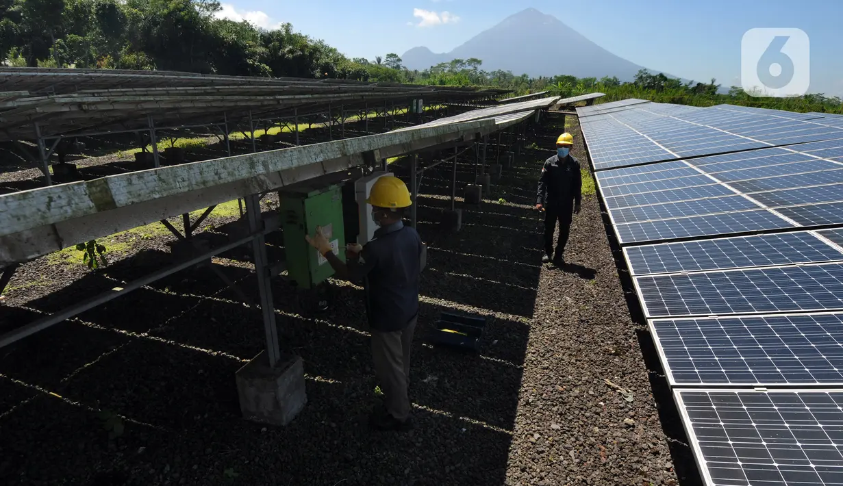 FOTO: PLTS 1 MWp Bangli Kembangkan Sistem Pertanian Tenaga Surya - Foto ...