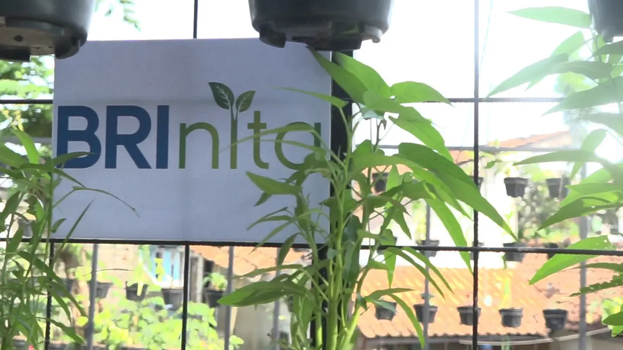 Urban Farming di Kelurahan Padjajaran Bandung Jadi Contoh Sukses ...