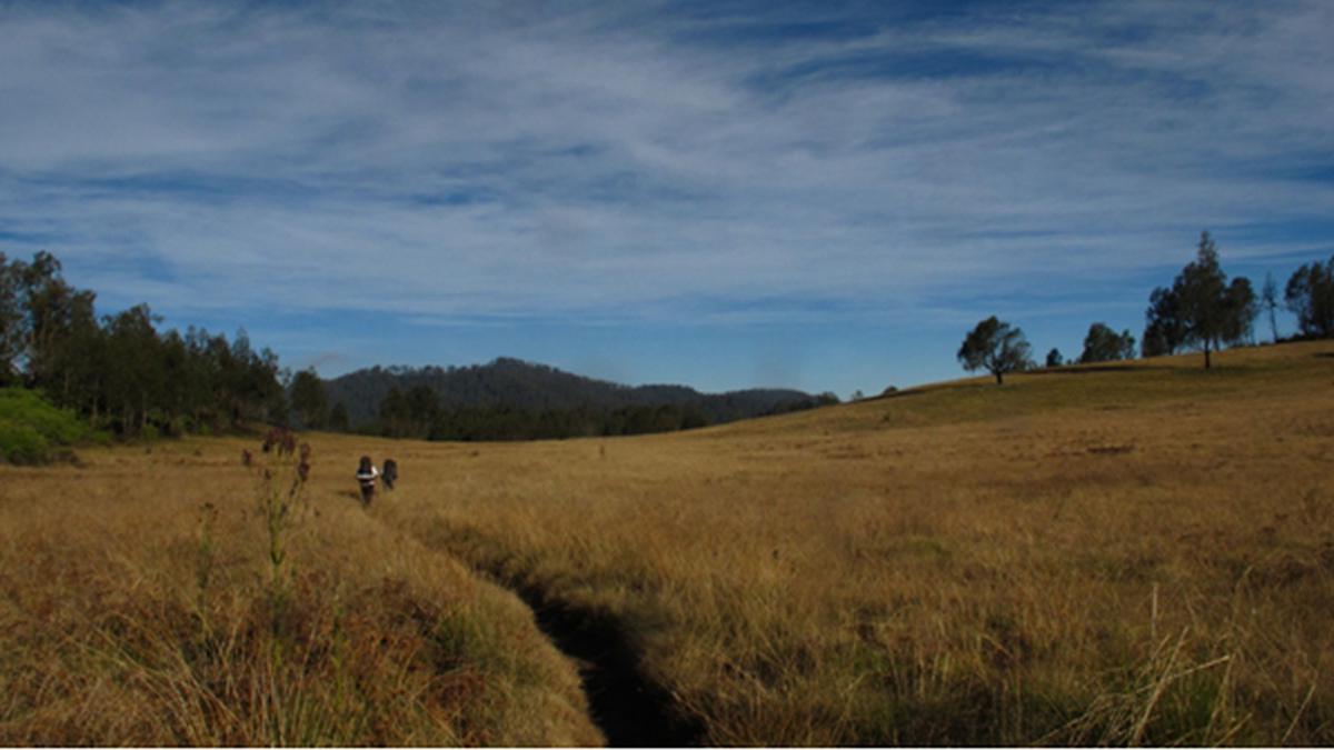 Gunung Argopuro, Pendakian dengan Jalur Terpanjang di Pulau Jawa ...