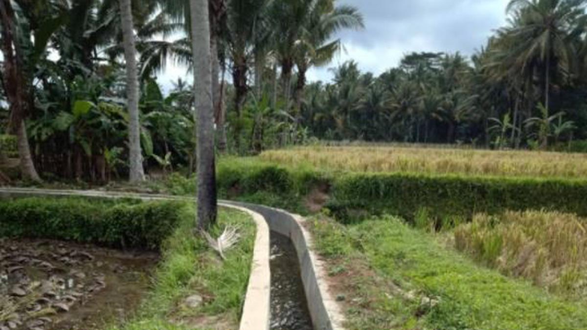 Kementan Gelar Kegiatan RJIT Guna Dukung Pertanian di Badung - Bisnis ...