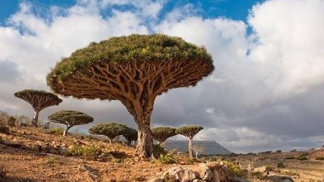 Tempat Dajjal Diikat Sekarang, Benarkah di Sebuah Pulau Terpencil?