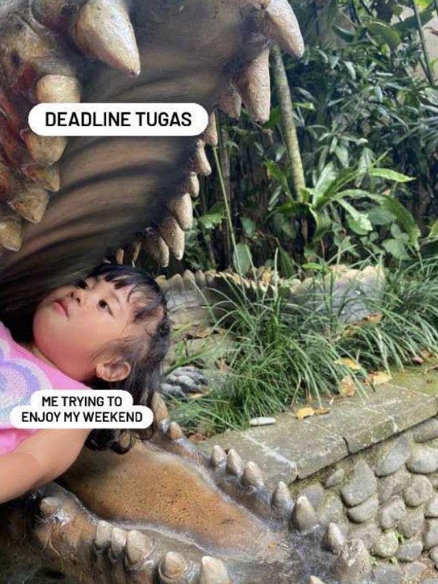 Sampai Tertekan, Ini 7 Meme Orang Dikejar Tugas yang Bikin Pusing - Hot ...
