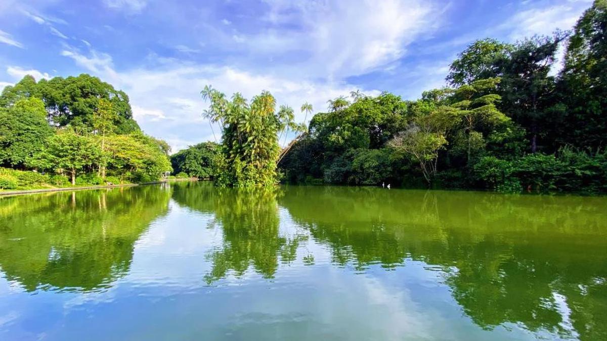 Galeri Seni dan Koleksi Tanaman Langka di Kebun Raya Singapura ...