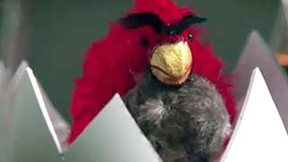 Angry Bird Akan Difilmkan - ShowBiz Liputan6.com