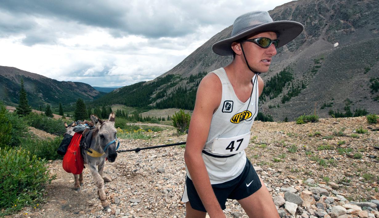 Pack Burro Race, Olahraga Balap Sambil Membawa Keledai di Colorado ...
