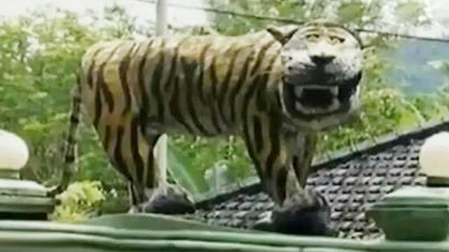 Mengenang Patung Macan Cisewu, Viral Jadi Meme dan Dirubuhkan 2017 Lalu ...