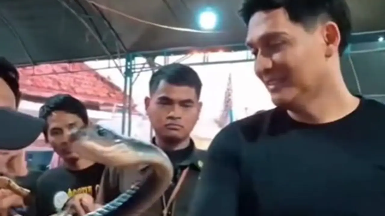 6 Potret Lucky Hakim Lepas Ribuan Ular ke Sawah, Bantu Petani Basmi Hama Tikus - ShowBiz ...