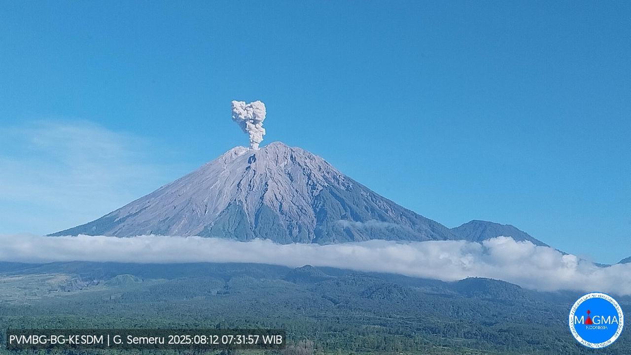 Gunung Semeru Meletus Selasa Pagi 12 Agustus 2025, Kolom Abu Capai 1.000 Meter