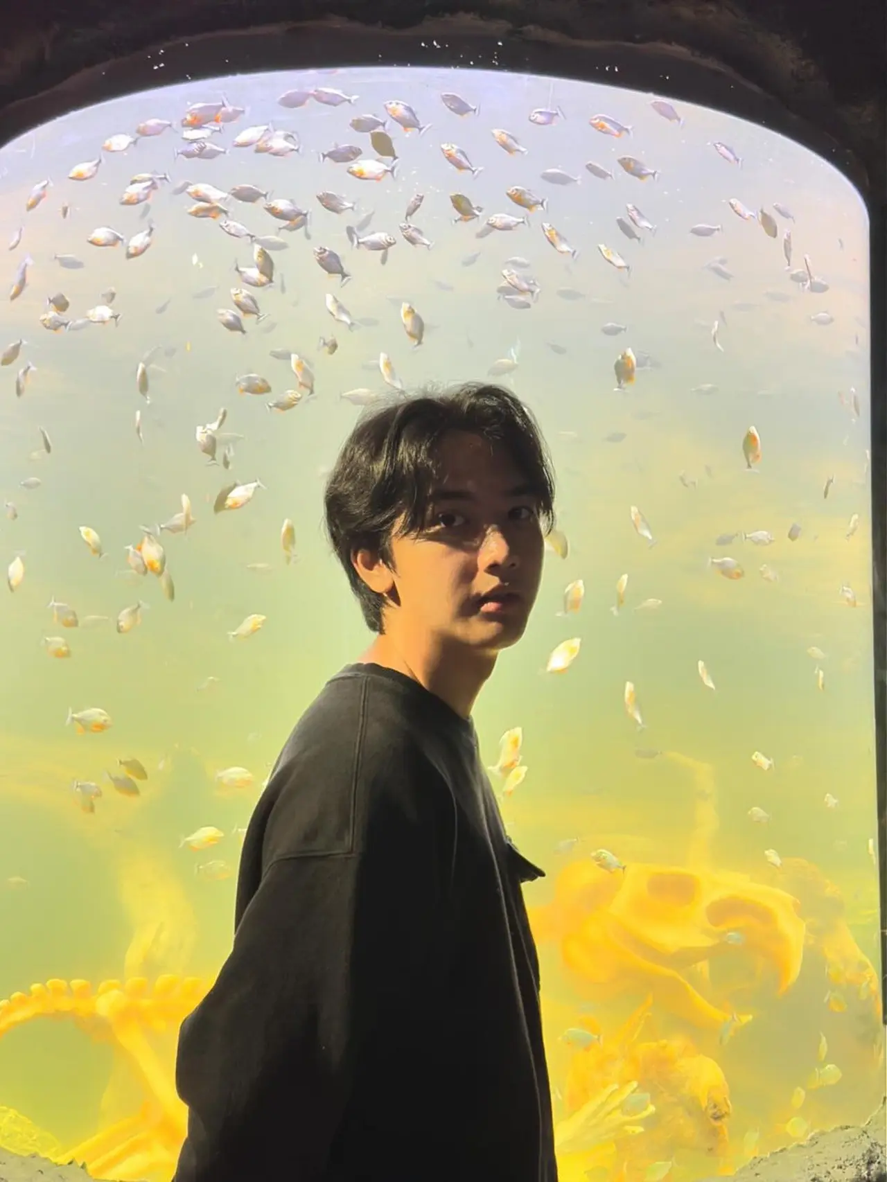 Fakta Unik dan Profil Lengkap Ari Irham, Pemeran Terlalu Tampan yang ...