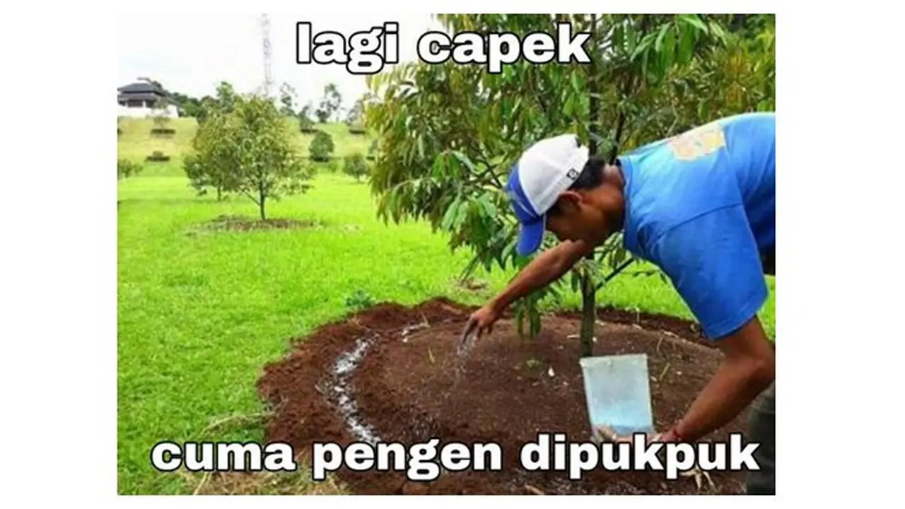 8 Meme Capek Jalani Hidup ala Netizen Ini Bikin Tepuk Jidat - Hot ...