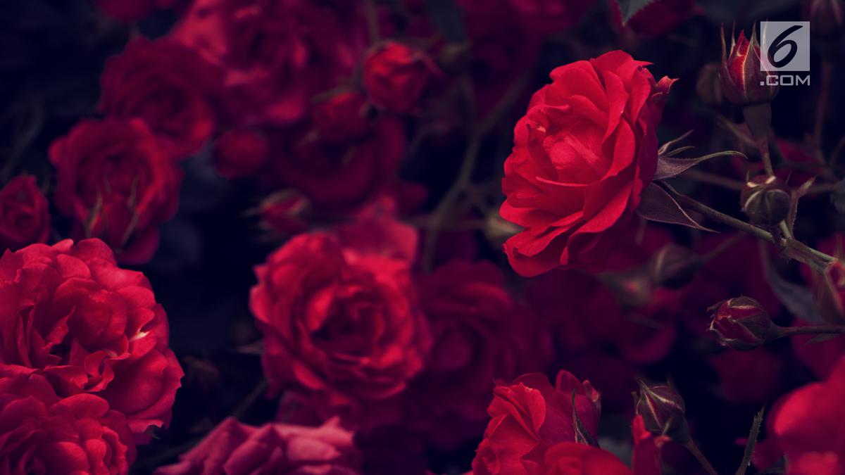 Inilah Buket Bunga Termahal di Dunia